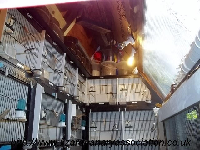 Members birdrooms – The Lizard Canary Association