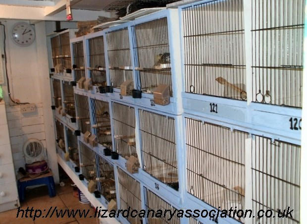 Members birdrooms – The Lizard Canary Association
