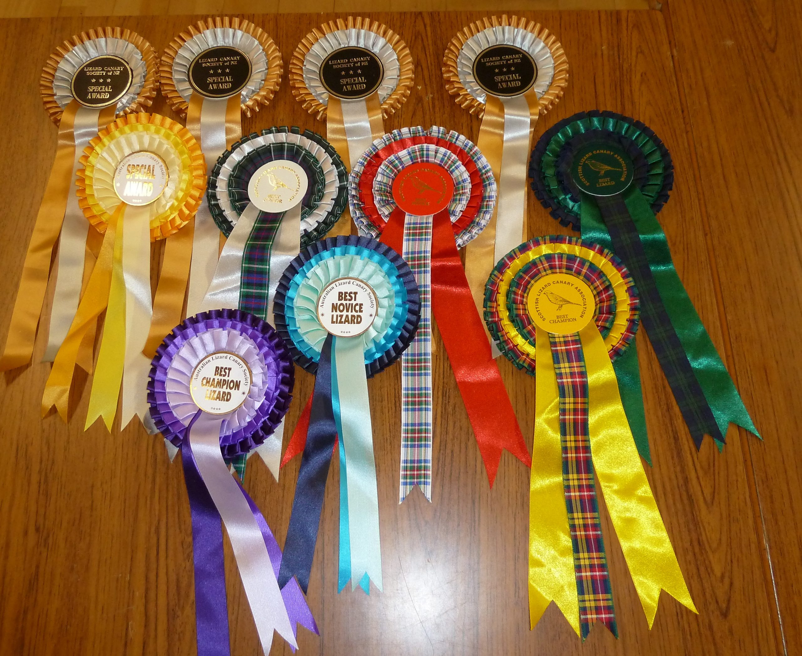 LCA Classic 2019 – The Lizard Canary Association