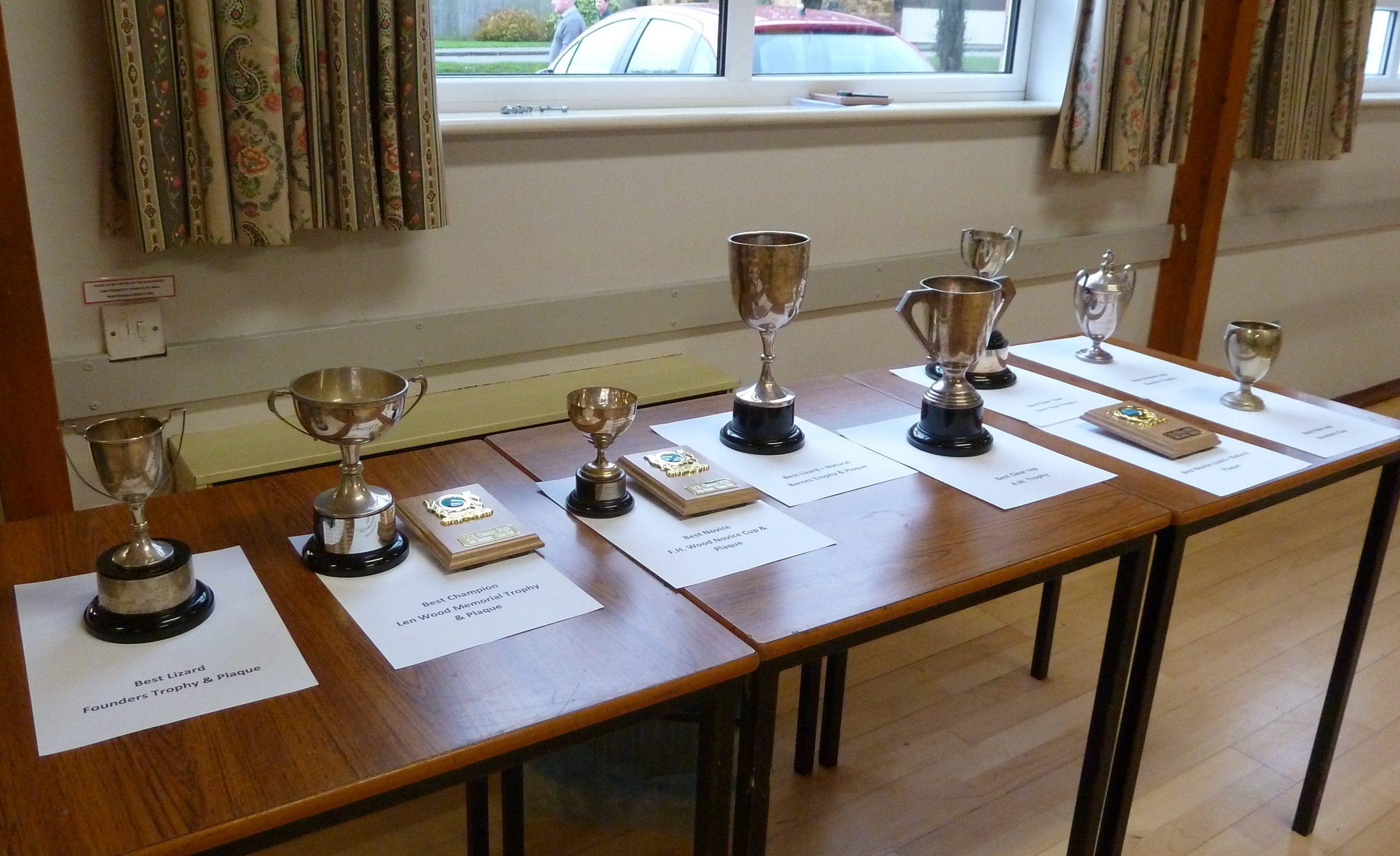 LCA Classic 2019 – The Lizard Canary Association